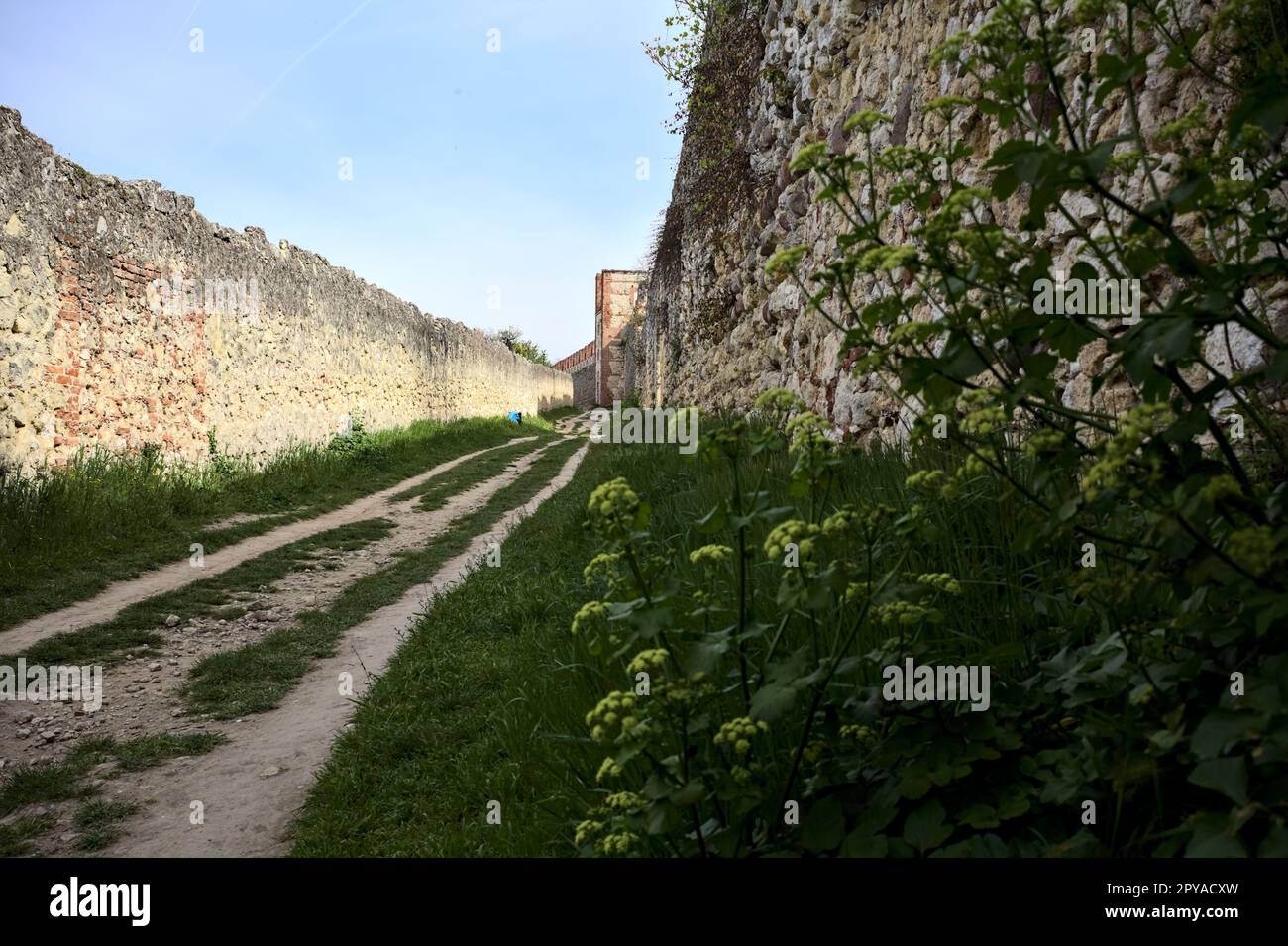 Path bordered by flowers and a boundary walls in a park by the hillside ...