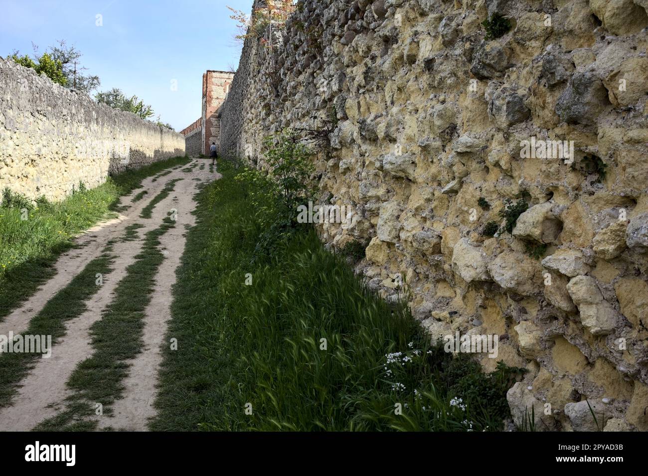 Path bordered by flowers and a boundary walls in a park by the hillside ...