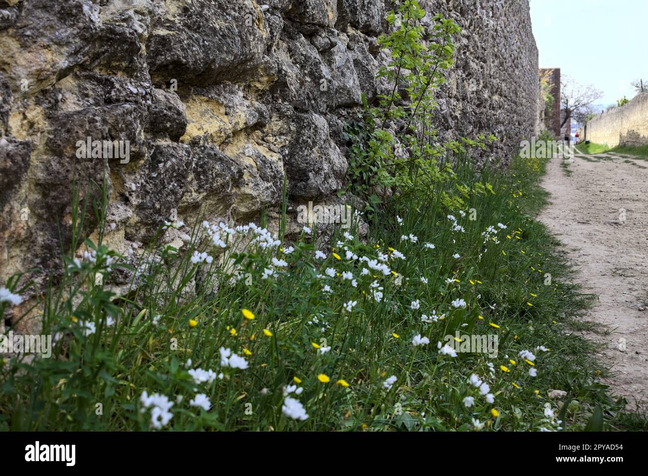Path bordered by flowers and a boundary walls in a park by the hillside ...