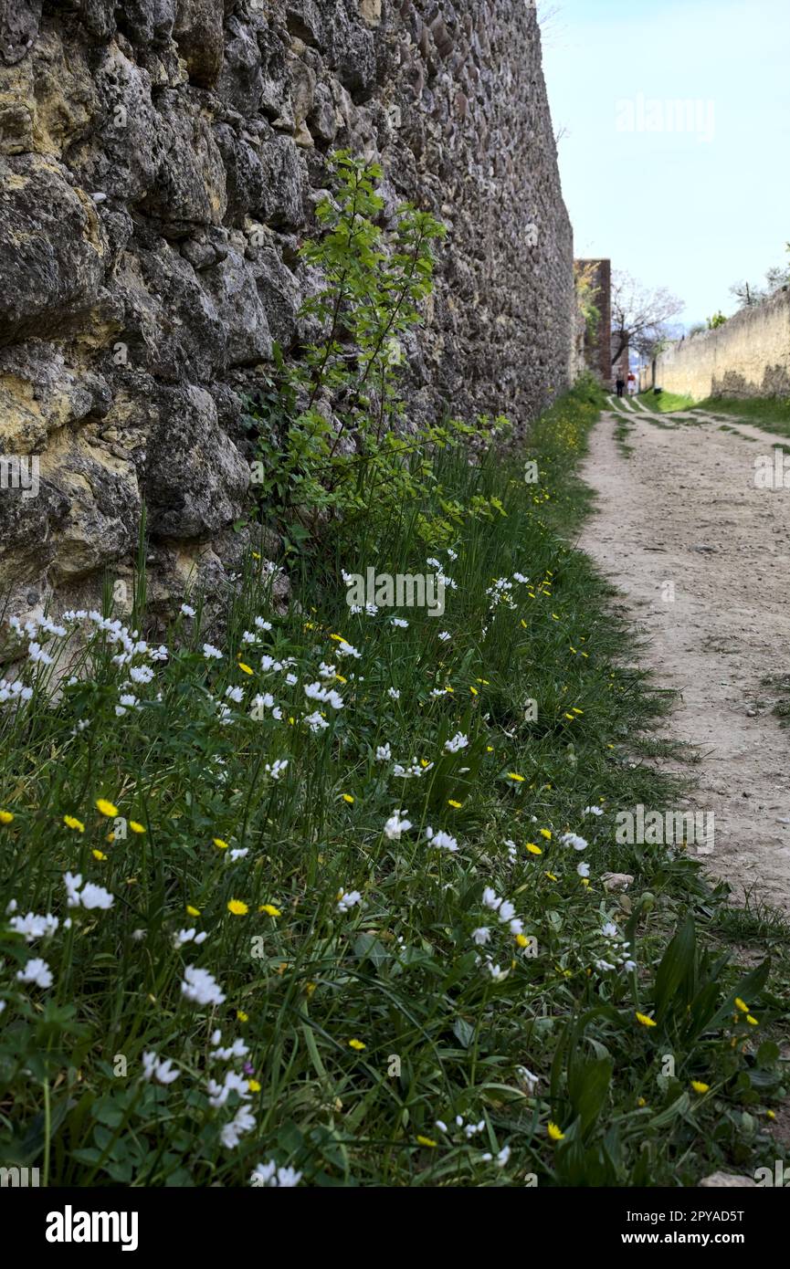 Path bordered by flowers and a boundary walls in a park by the hillside ...