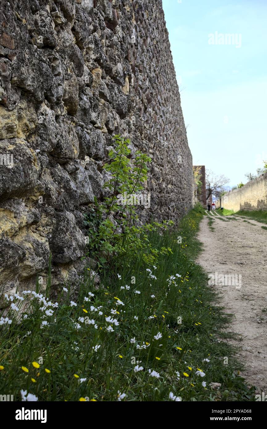 Path bordered by flowers and a boundary walls in a park by the hillside ...