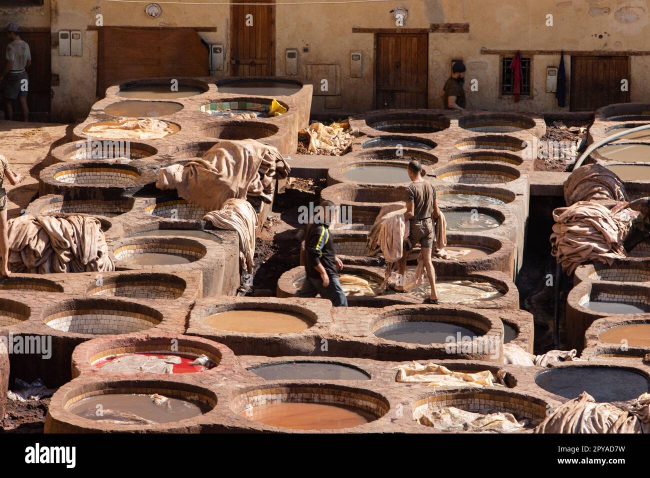 Fez, Morocco 2022: unique view of the old and famous Chouara tannery in ...
