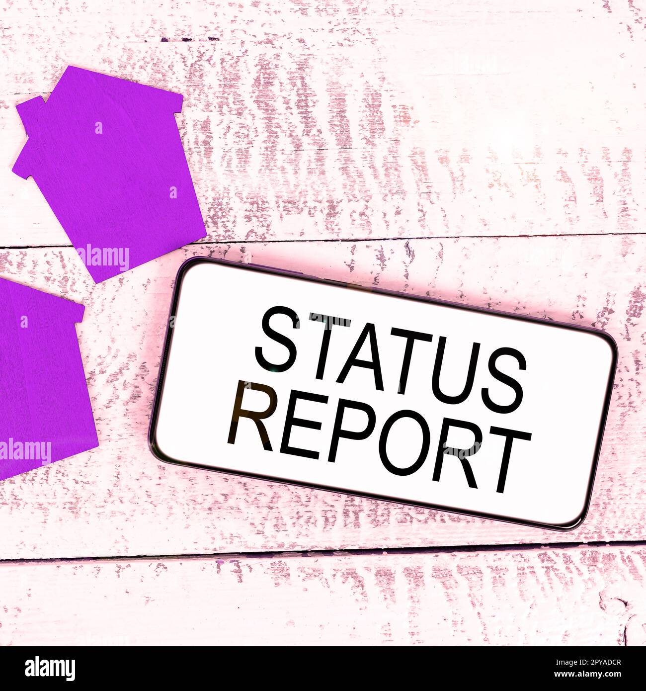 Conceptual display Status Report. Business overview Update Summary of ...