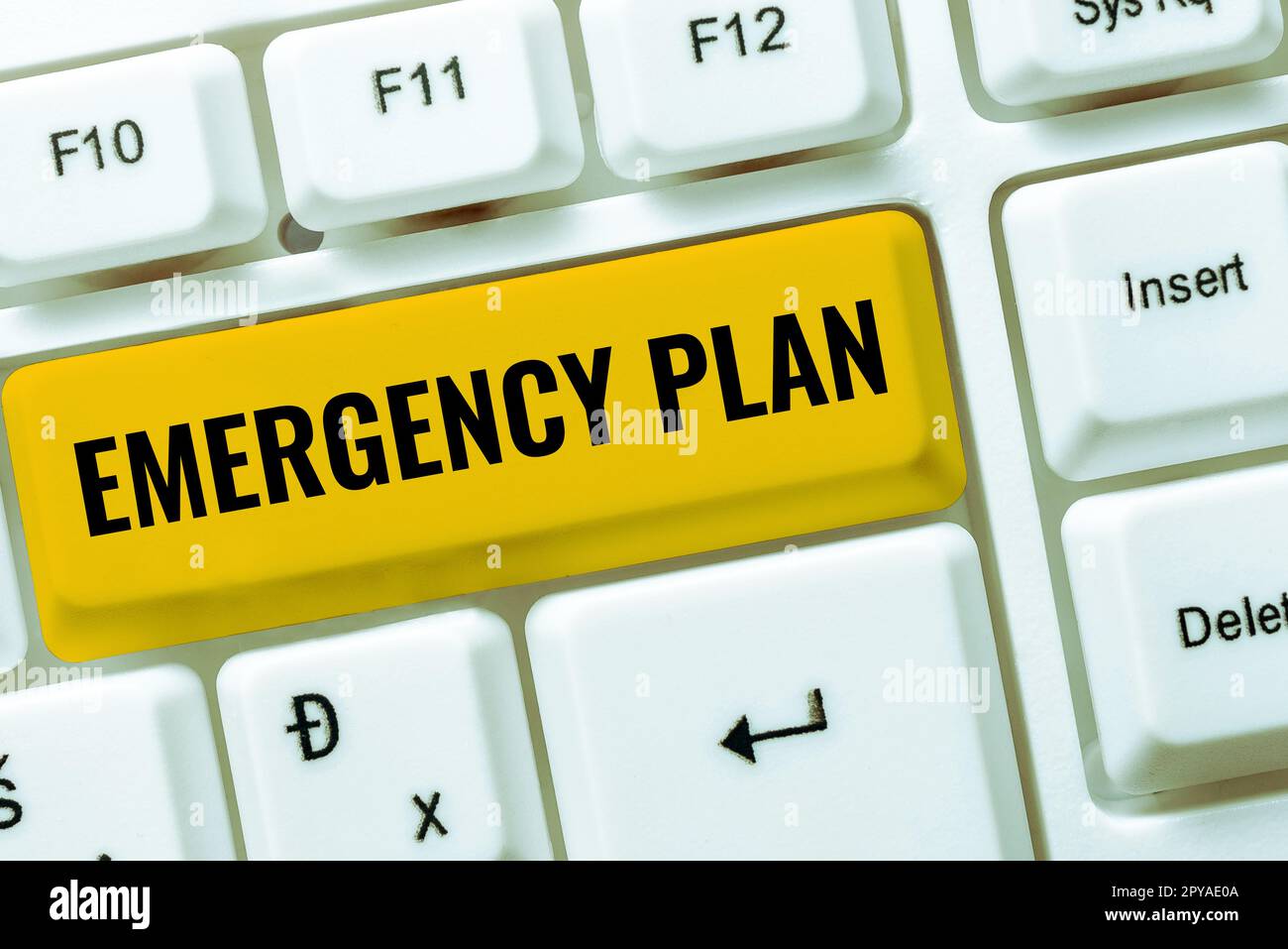 Sign displaying Emergency Plan. Business overview Procedures for ...
