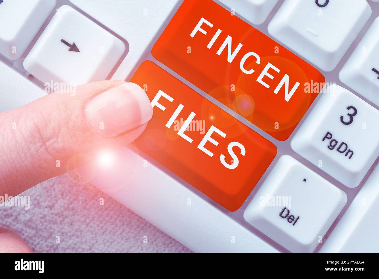 Text showing inspiration Fincen Files. Business showcase Transactions ...