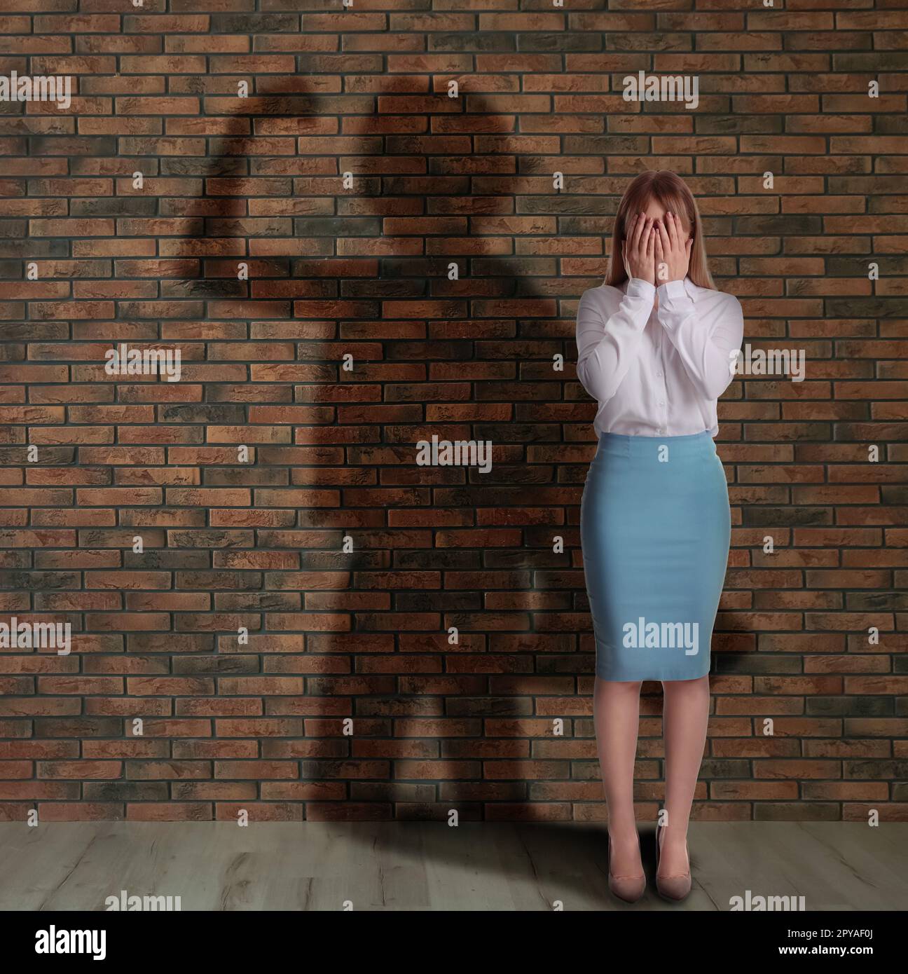 Businesswoman and shadow of strong muscular lady behind her on brick ...