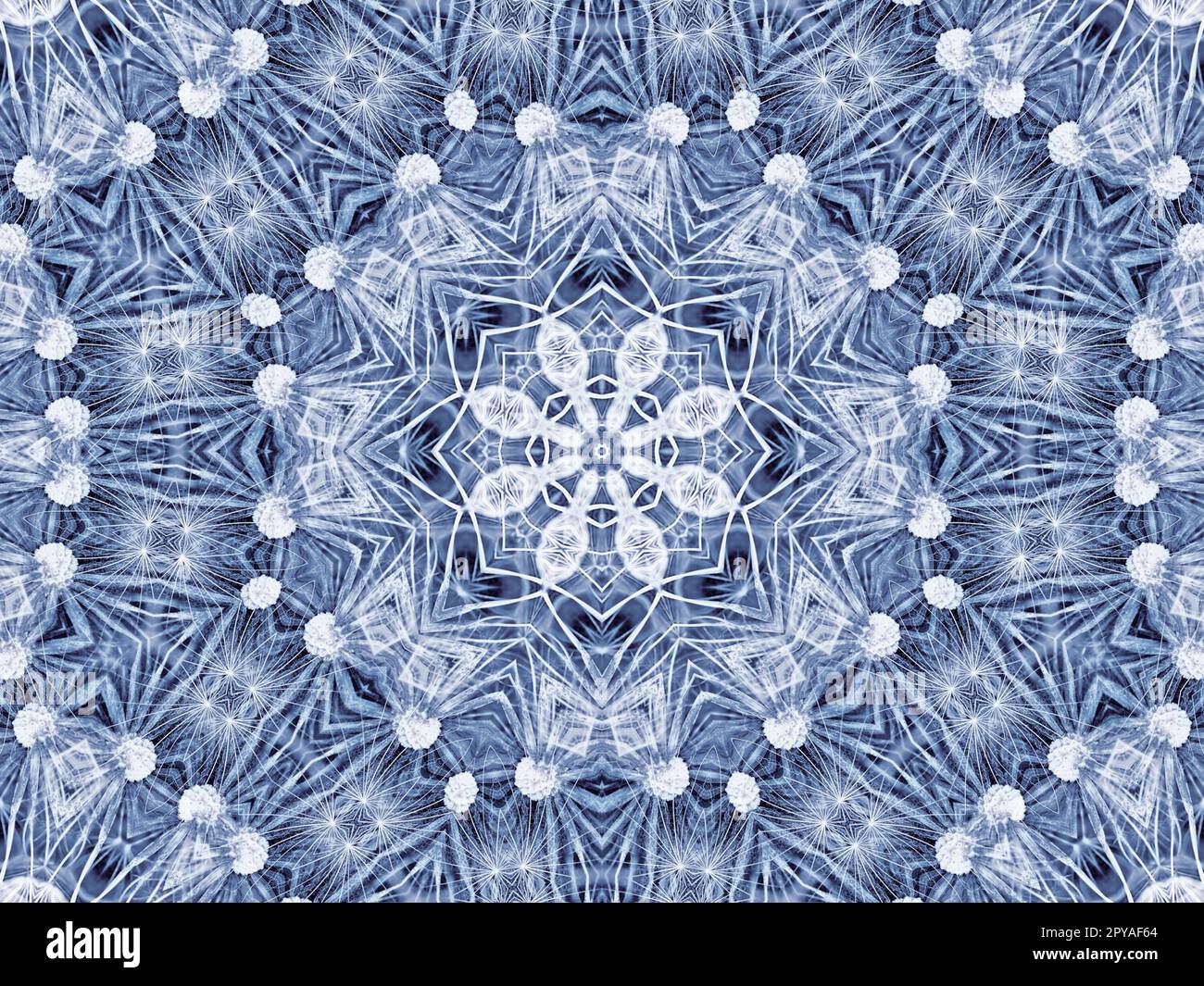 Flower with radial pattern hi-res stock photography and images - Alamy