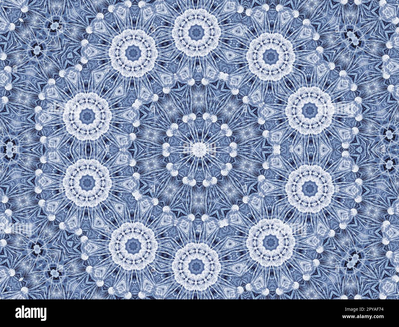 Flower with radial pattern hi-res stock photography and images - Alamy