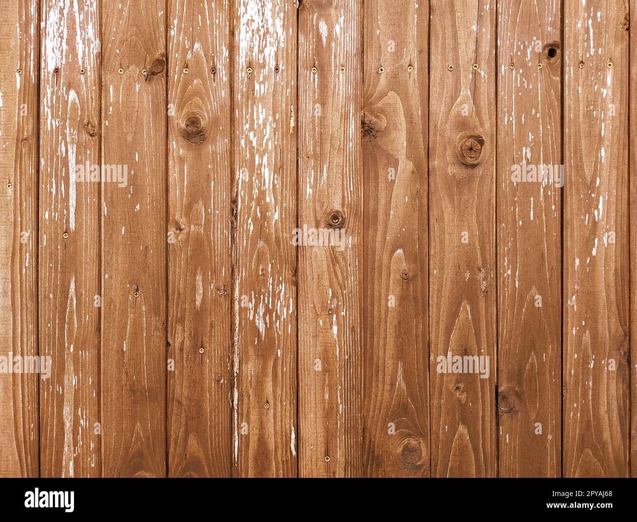 Wooden wall background or texture. wood planks with twigs Stock Photo ...
