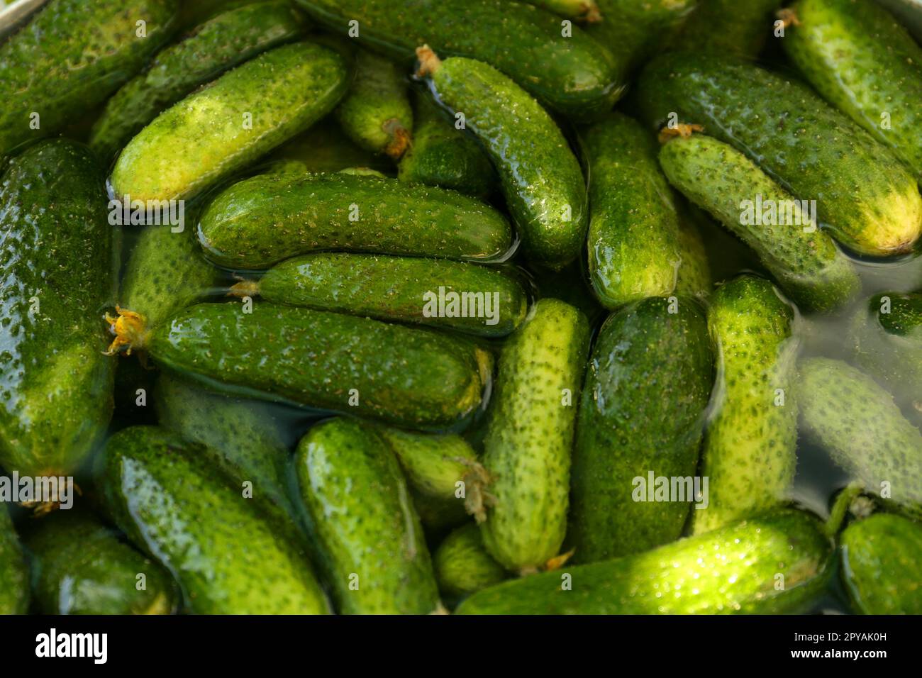 Above water view many hi-res stock photography and images - Alamy