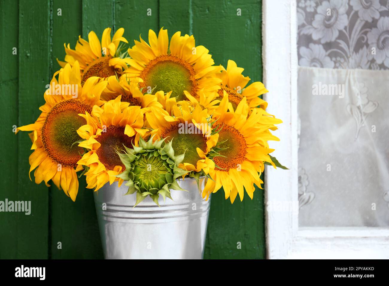 Bouquet of beautiful sunflowers in bucket near window outdoors Stock ...