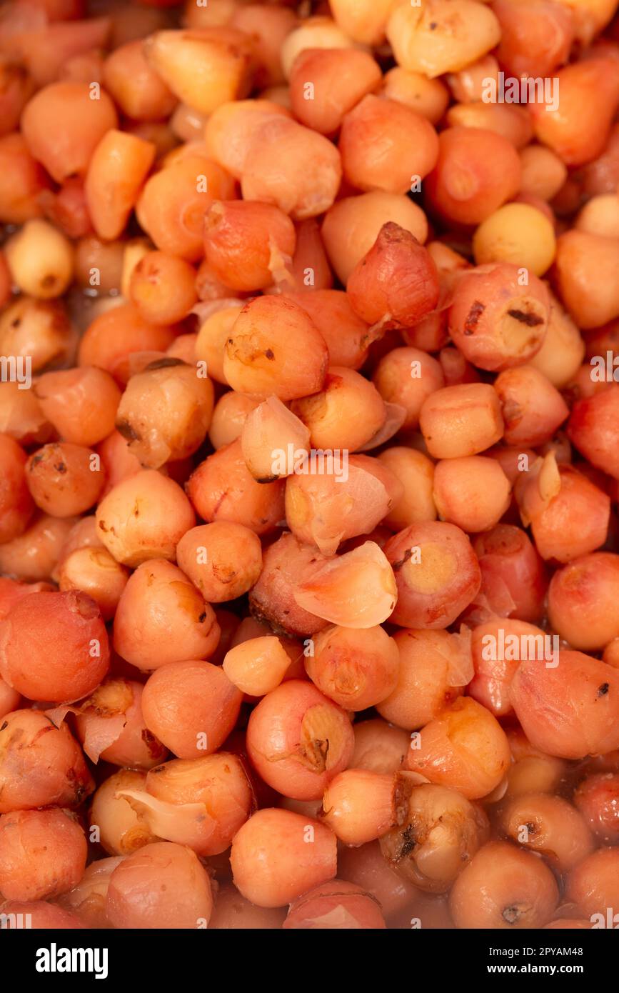 Italy, Street Food Festival, Spring Onions Called Lampascioni Stock ...