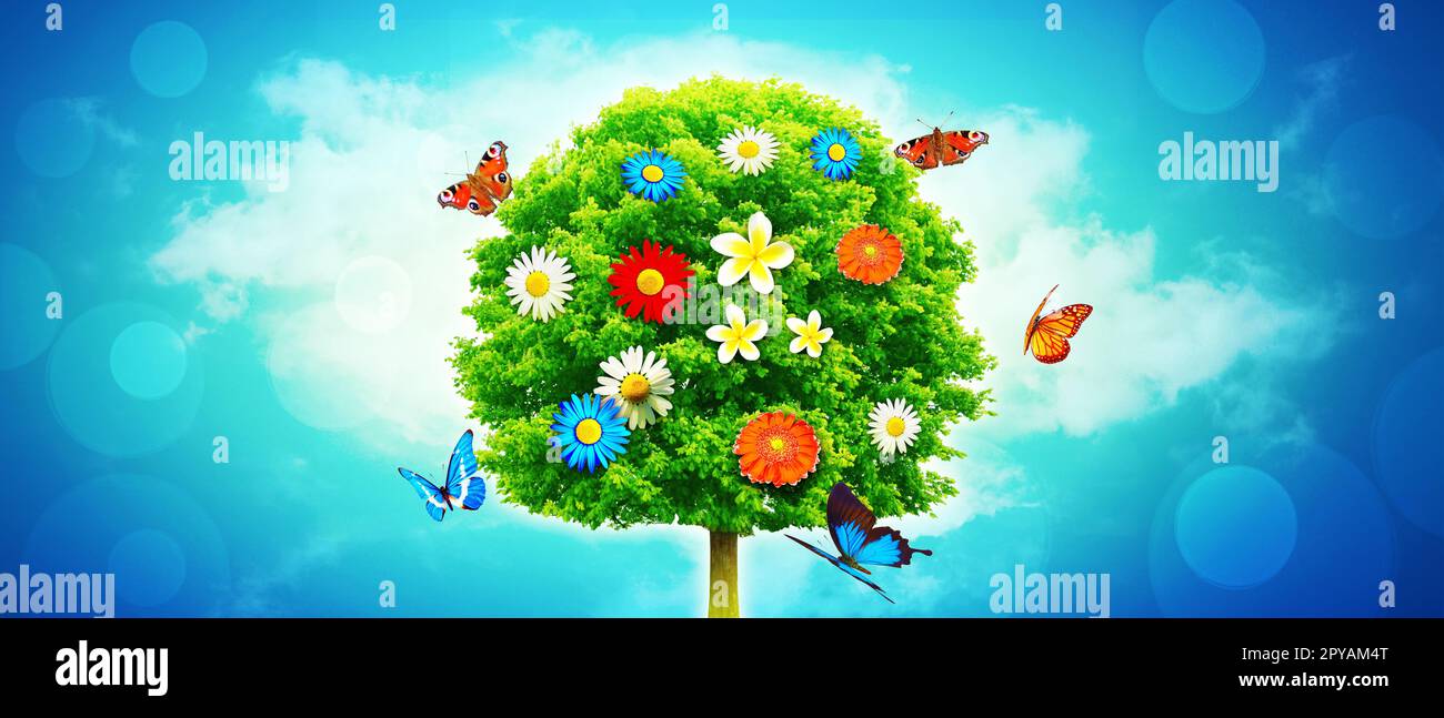 Spring flowers tree hi-res stock photography and images - Alamy