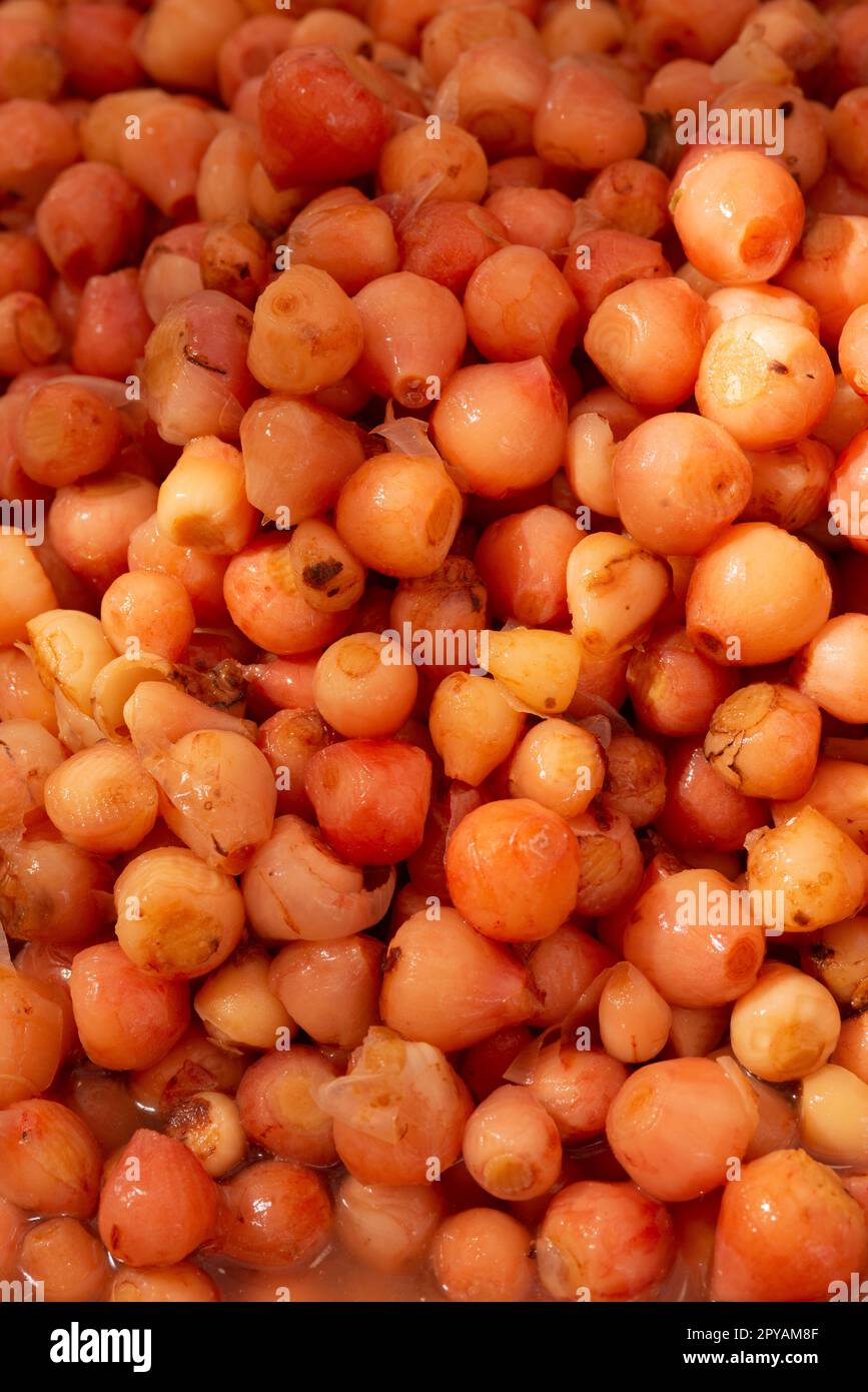 Italy, Street Food Festival, Spring Onions Called Lampascioni Stock ...