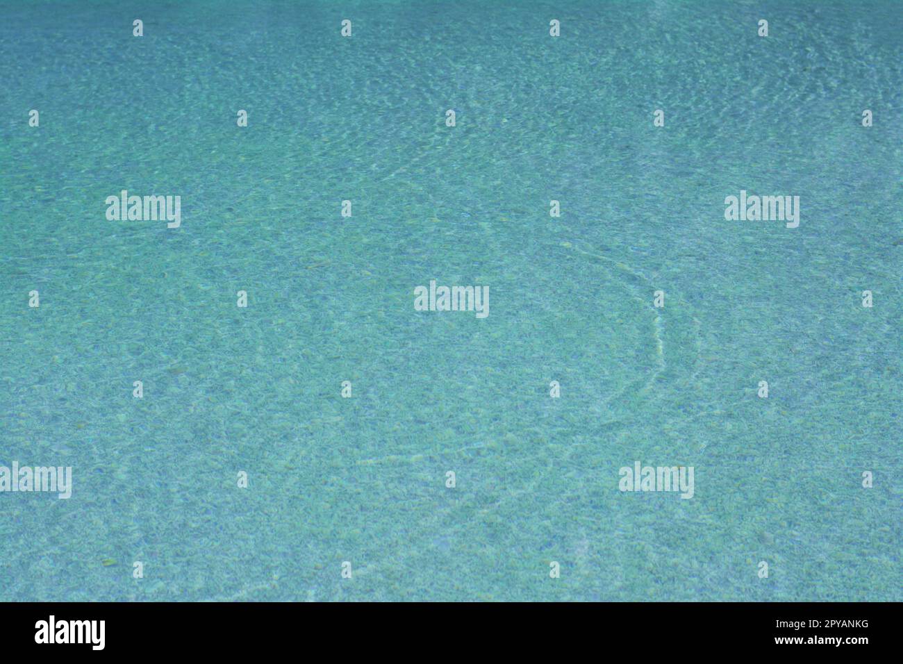 Calm clear water in swimming pool outdoors Stock Photo - Alamy