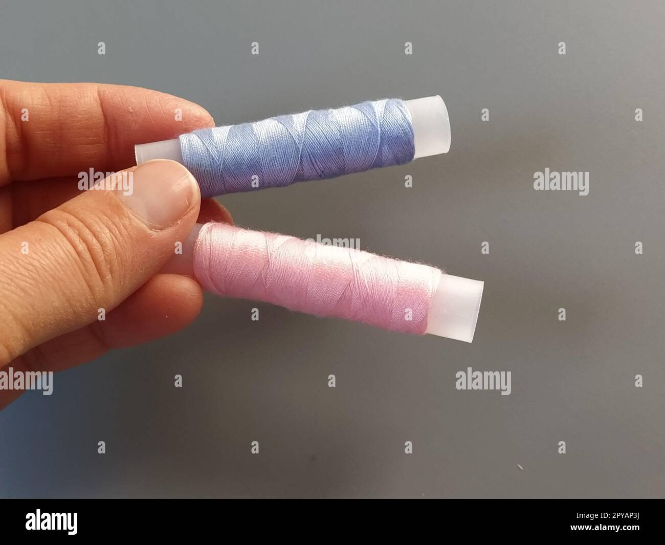 Spools of pink and blue thread on a woman's hand. Textile industry ...