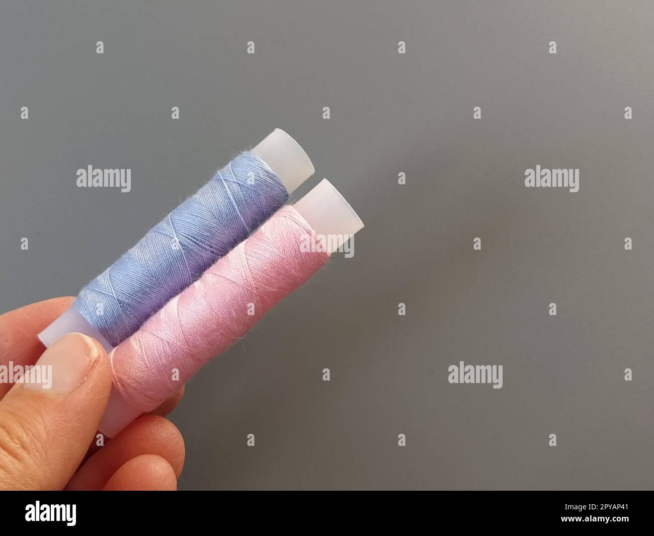 Spools of pink and blue thread on a woman's hand. Textile industry ...