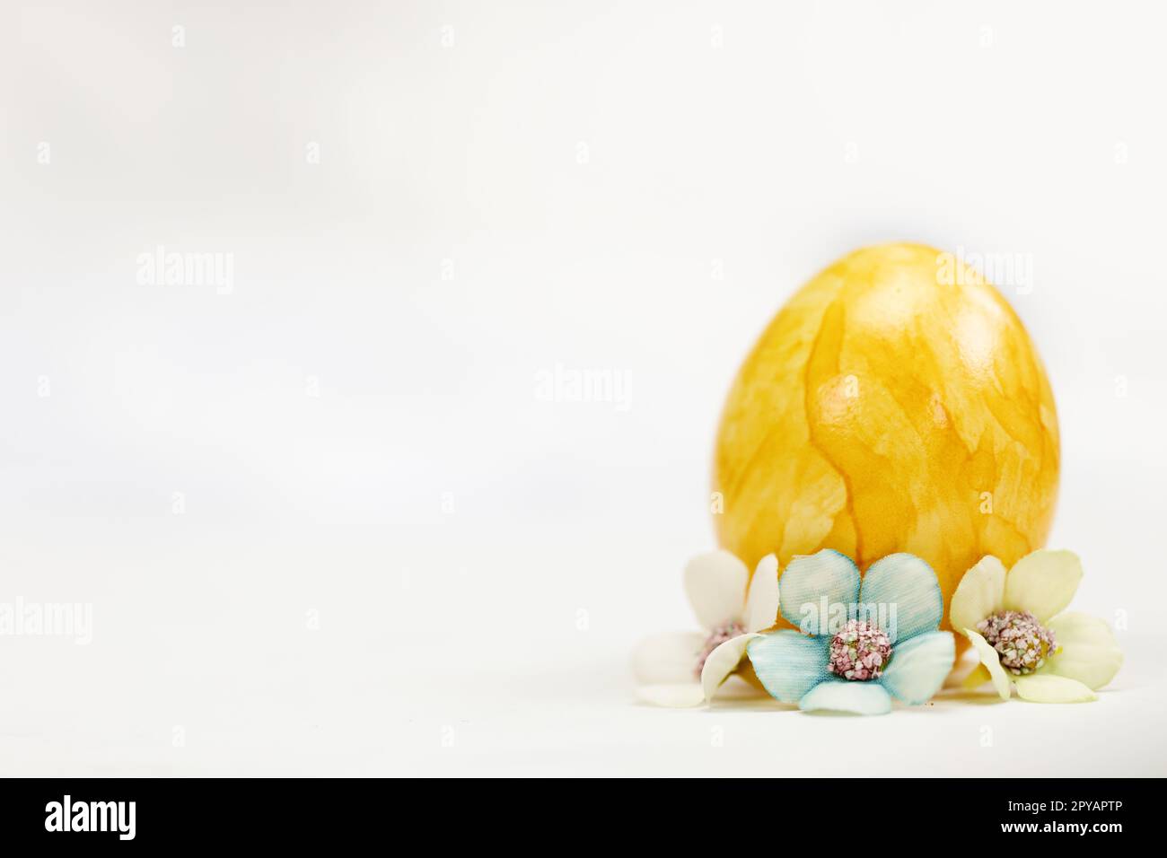 Easter eggs painted in pastel colors on a white background with copy ...