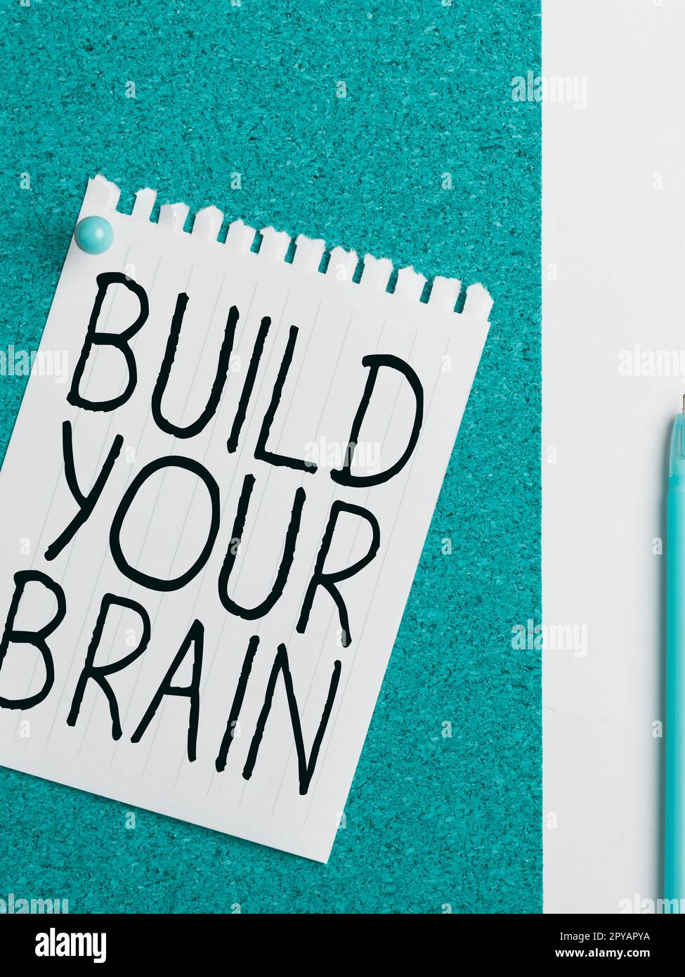 Text sign showing Build Your Brain. Business showcase mental activities ...