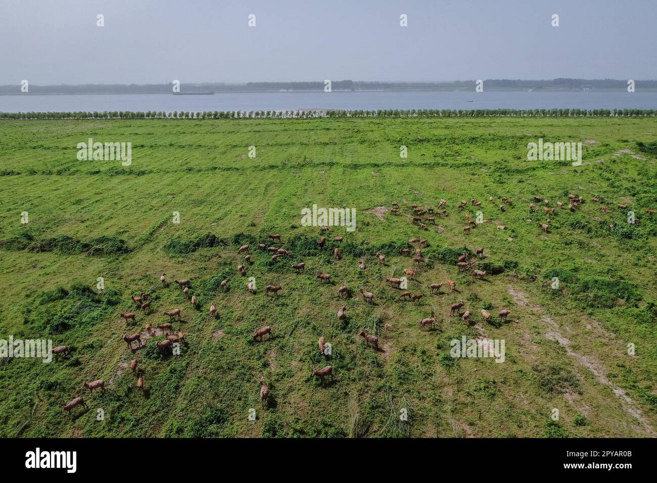 (230503) -- SHISHOU, May 3, 2023 (Xinhua) -- This aerial photo taken on ...