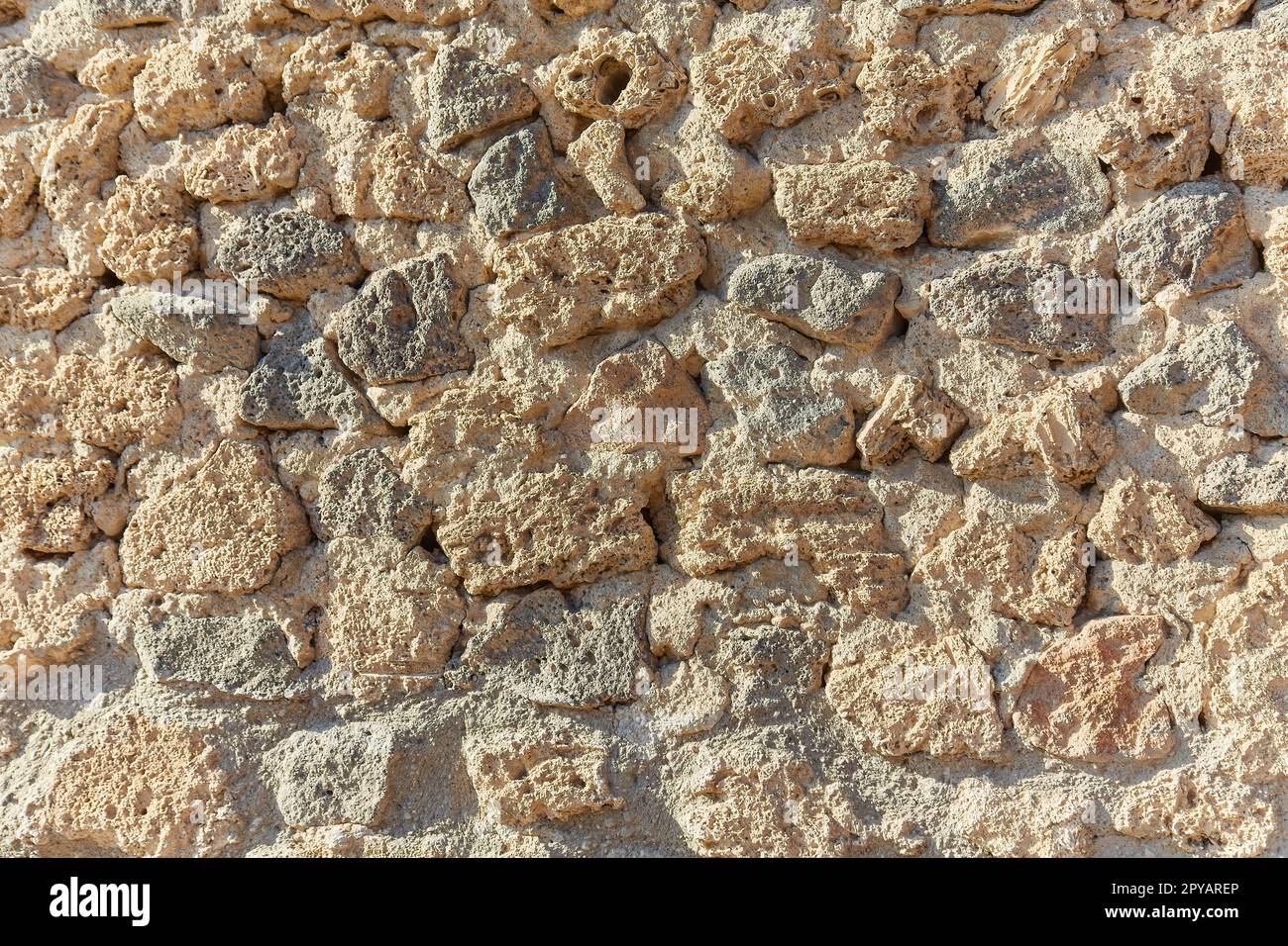 Stone, shell rock texture background. Texture of shell rock limestone ...