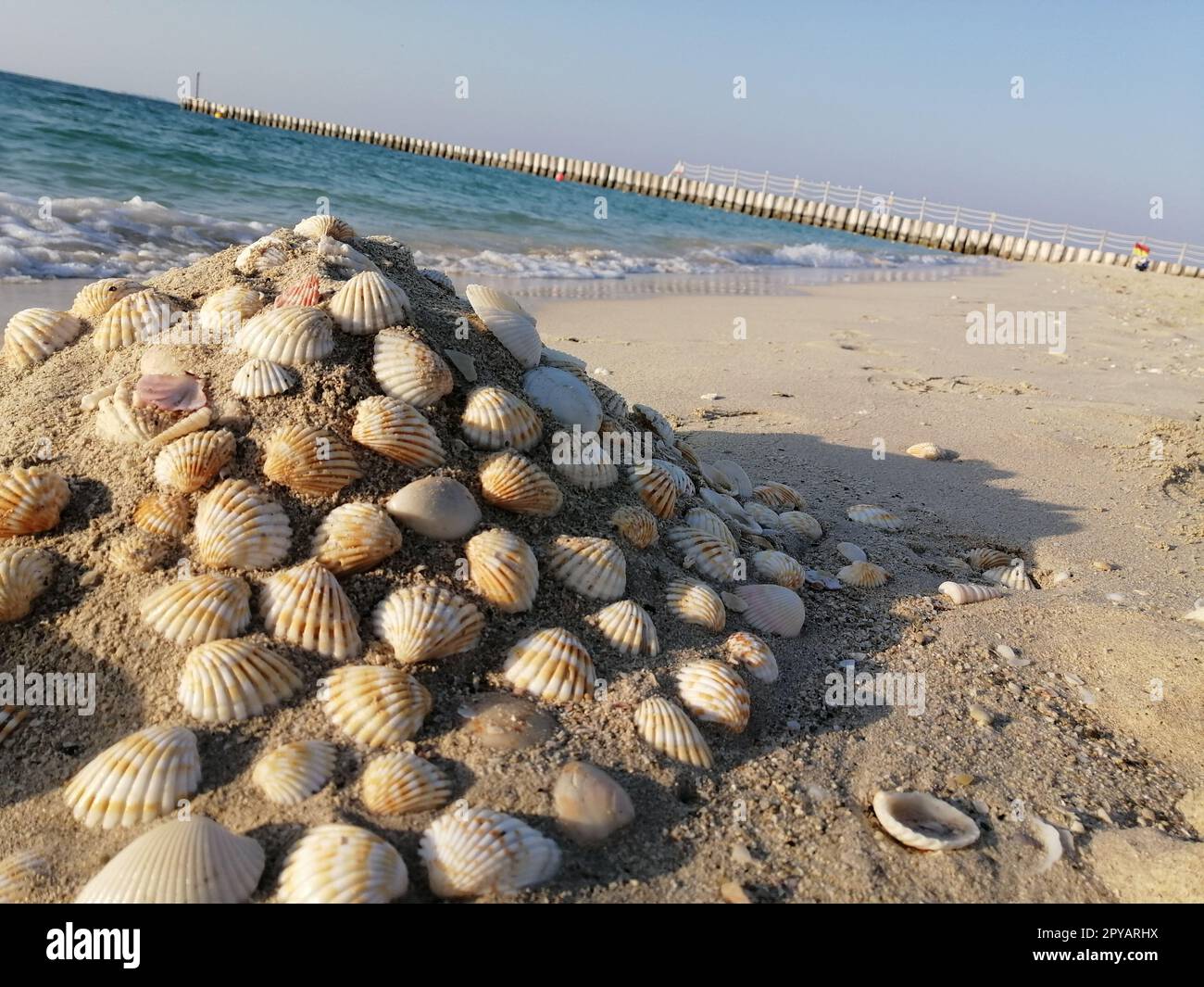 Sandy beach scene featuring hi-res stock photography and images - Alamy