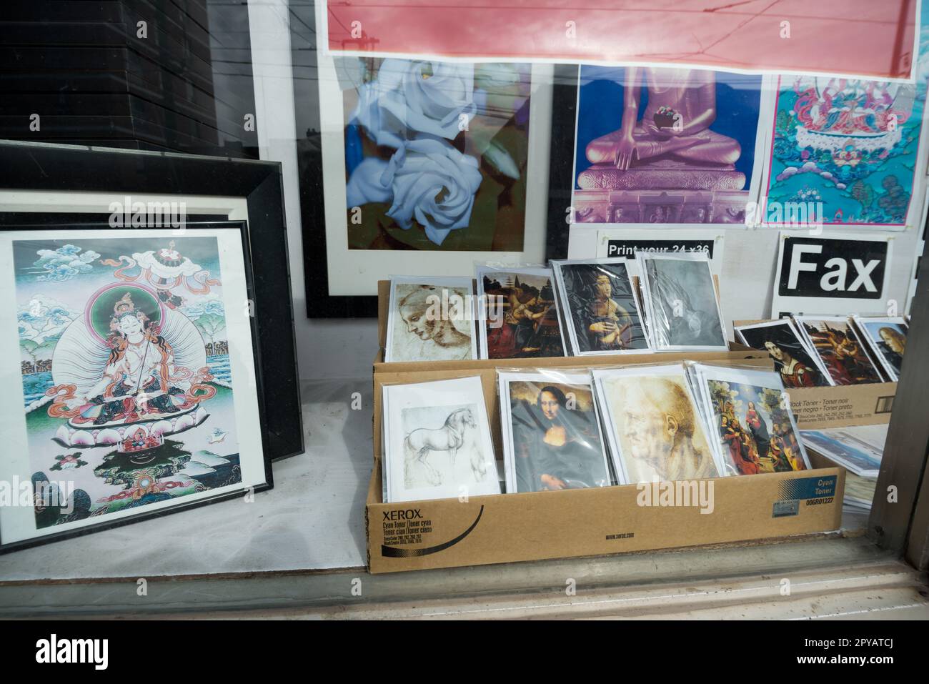 store front window display along Roncesvalles (Toronto, Canada ...