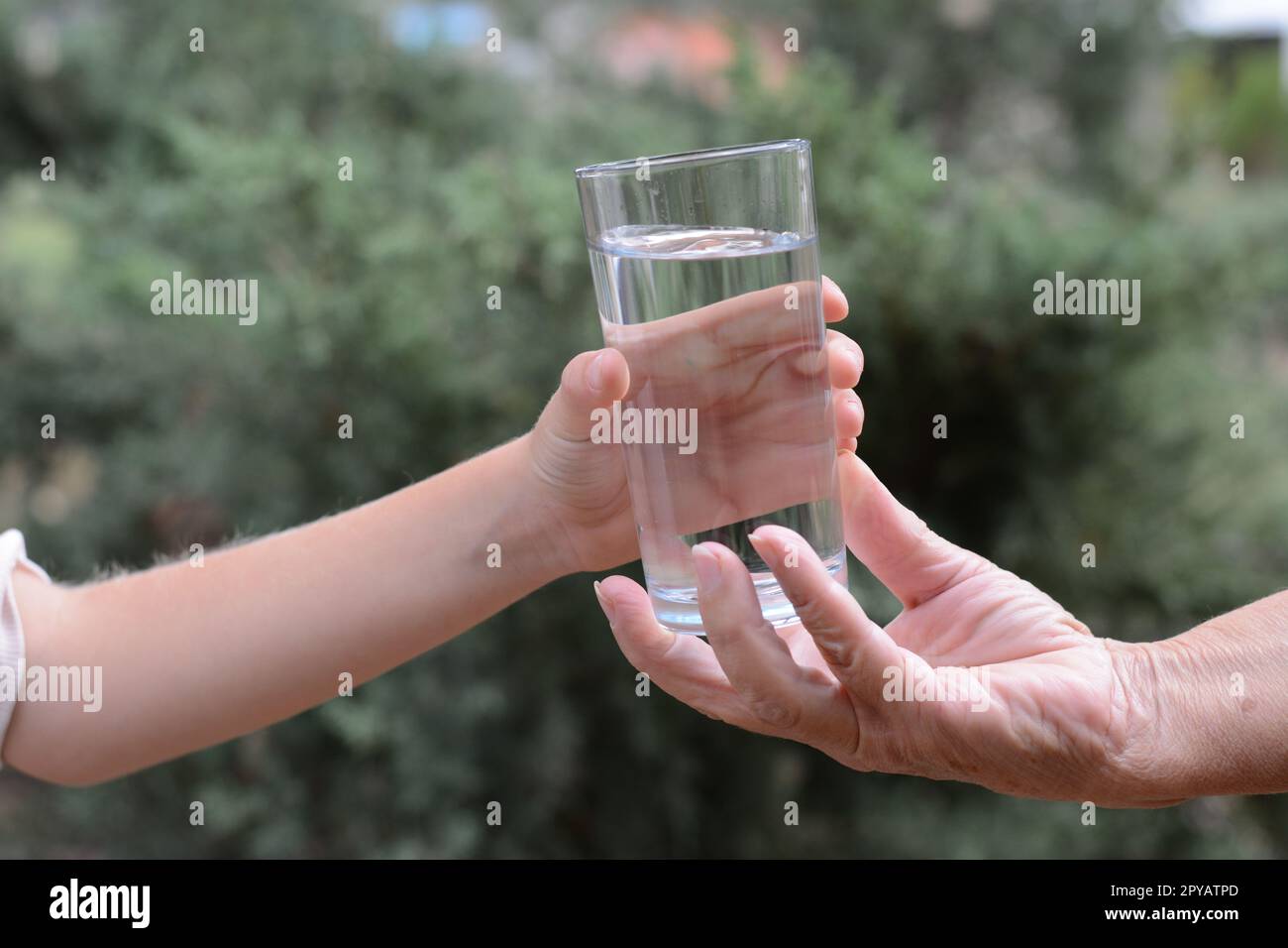Child giving glass of water to elderly woman outdoors, closeup Stock ...