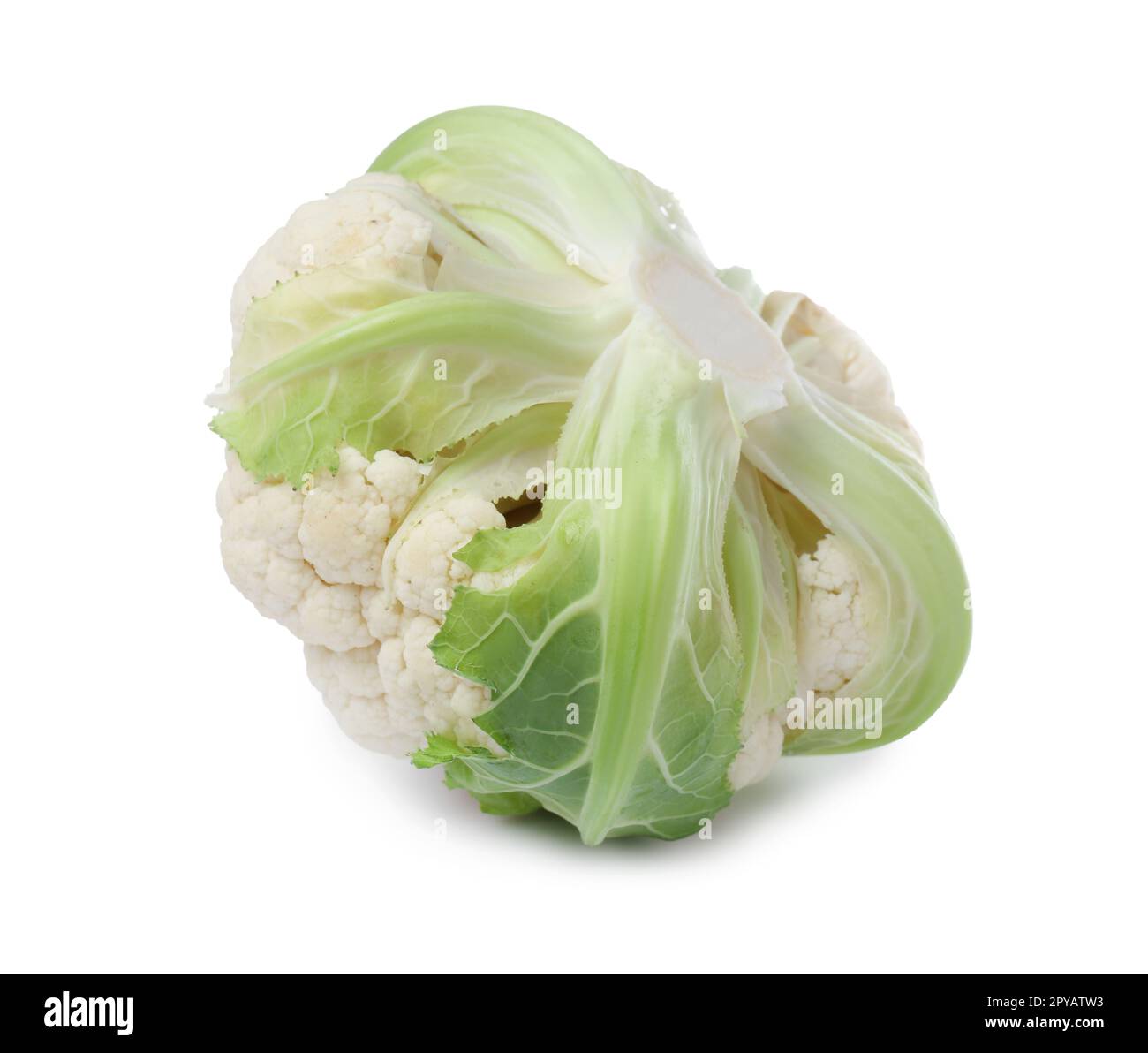 Whole fresh raw cauliflower on white background Stock Photo - Alamy