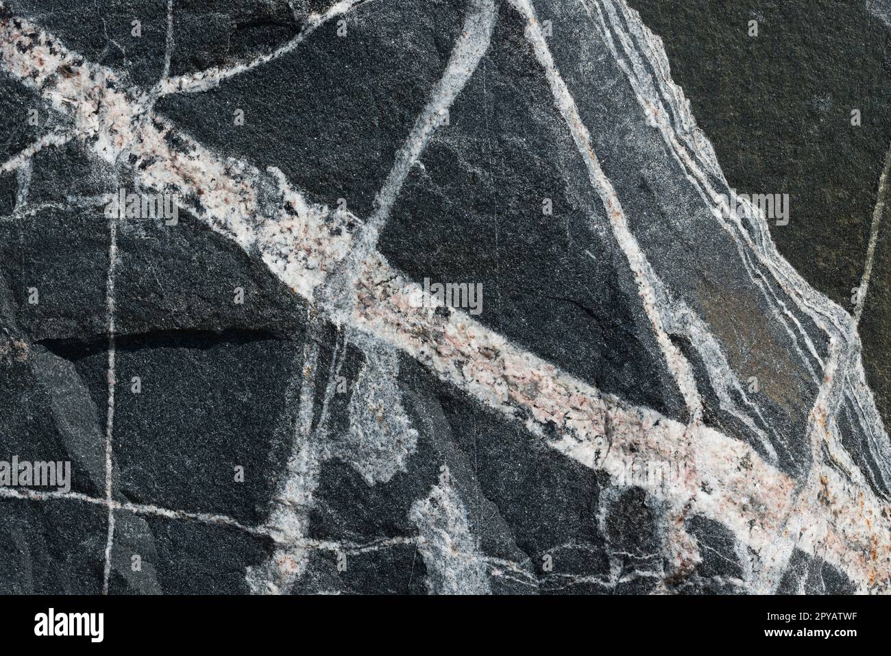 Surface veins hi-res stock photography and images - Alamy