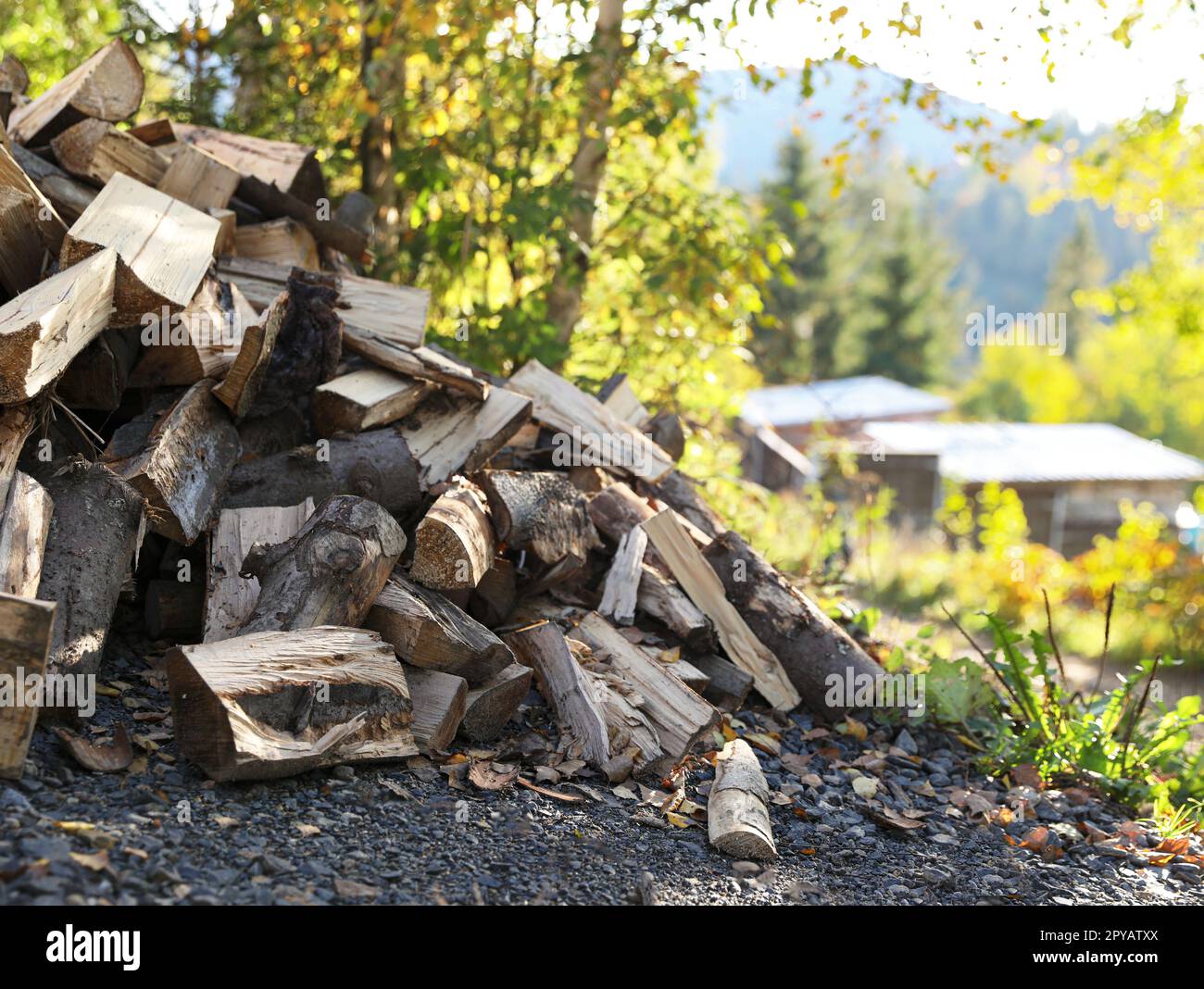 Pile of dry firewood on ground outdoors Stock Photo - Alamy