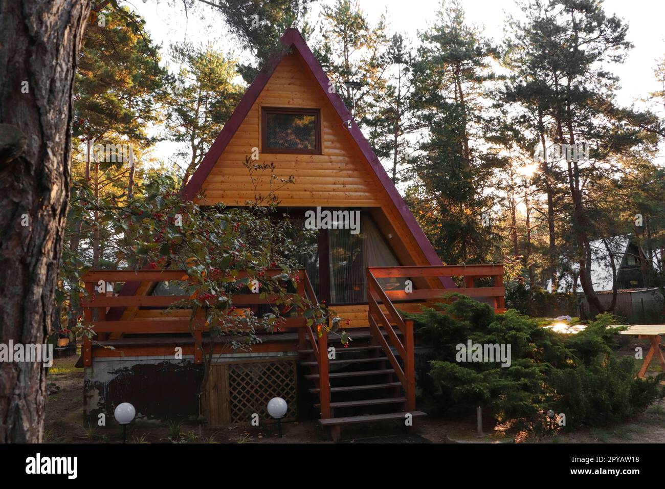 Picturesque view of modern wooden house with veranda near forest on ...