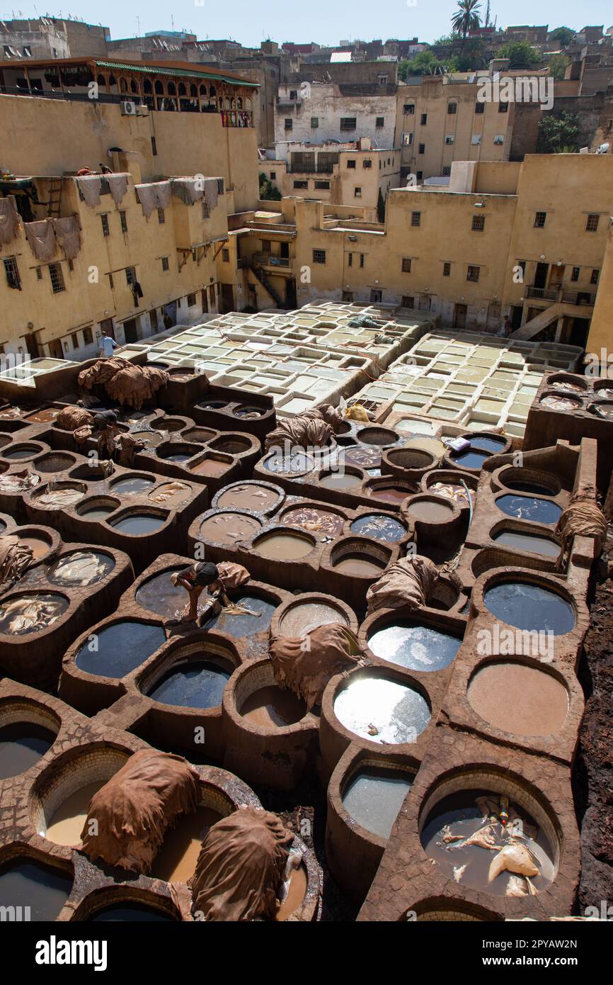 Fez, Morocco 2022: unique view of the old and famous Chouara tannery in ...
