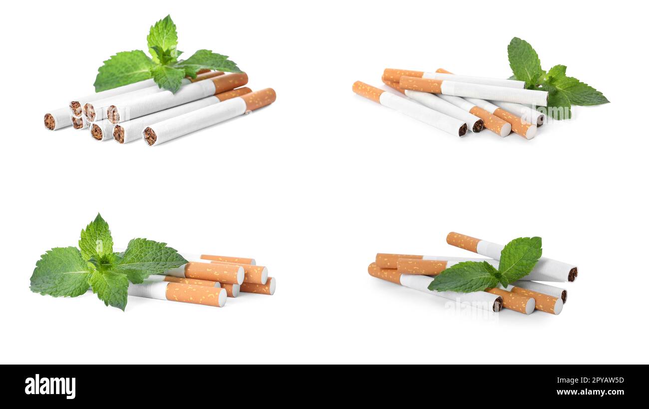 Set with menthol cigarettes and fresh mint leaves on white background ...