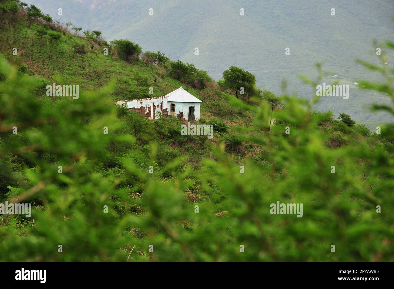 The countryside where Nelson Mandela grew up in Mvezo in the Eastern ...