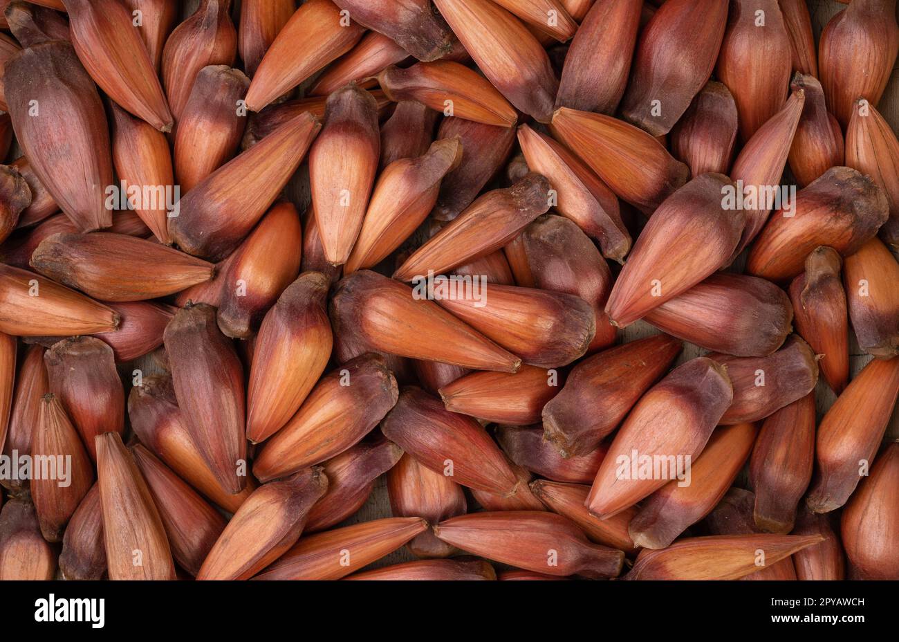 Closeup of pinions or pine tree seeds. Food backdrop Stock Photo - Alamy