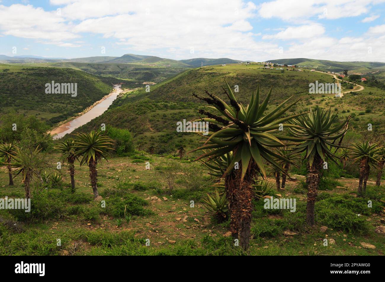 The countryside where Nelson Mandela grew up in Mvezo in the Eastern ...