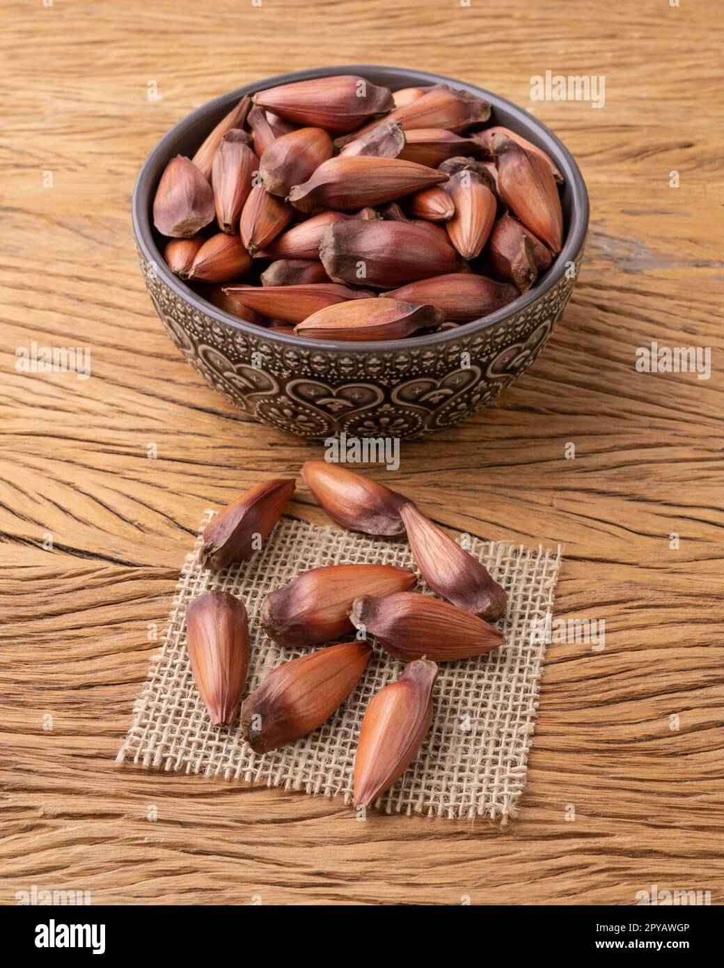 Pine tree seeds hi-res stock photography and images - Alamy