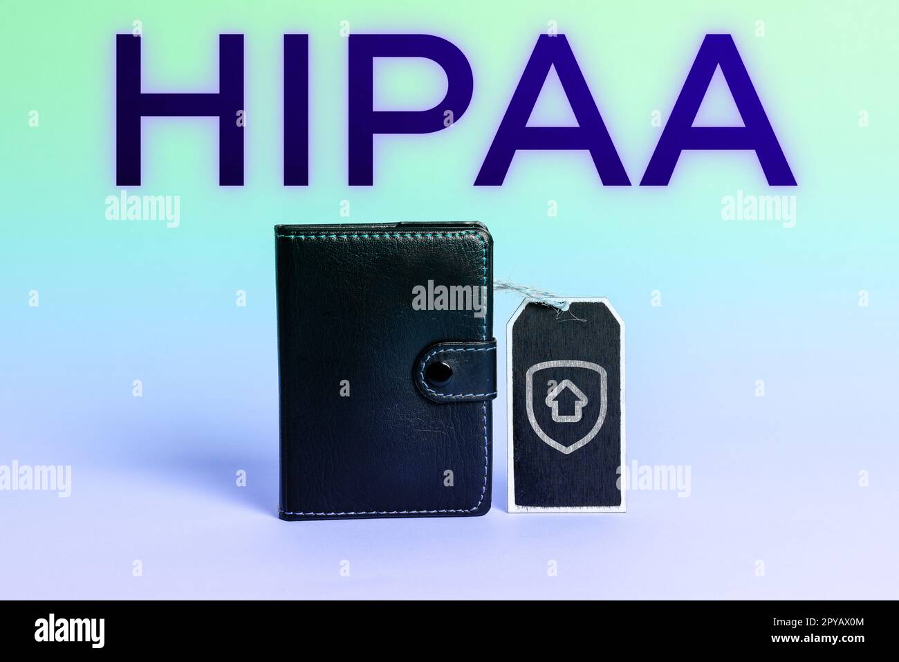 Conceptual caption Hipaa. Internet Concept Acronym stands for Health ...