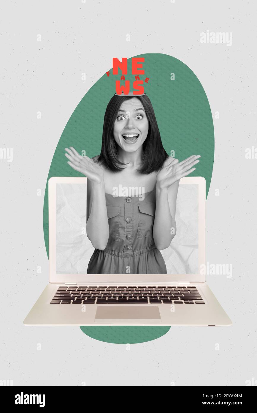 Poster banner collage of young lady reporter have web live stream from ...