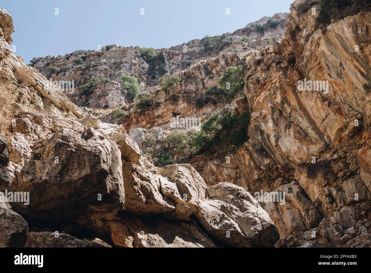 Steep hill as seen from the bottom of canyon Stock Photo - Alamy