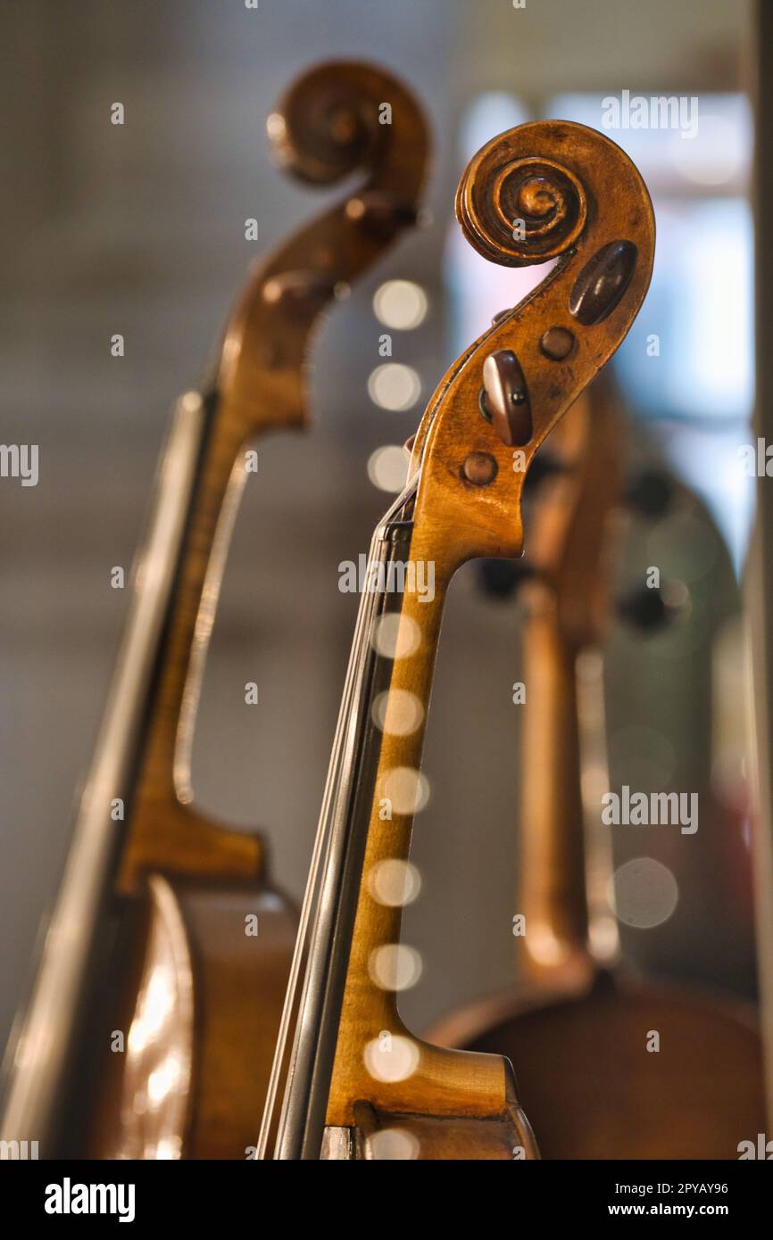 Close up of the head of two violins inside the music museum in Venice ...