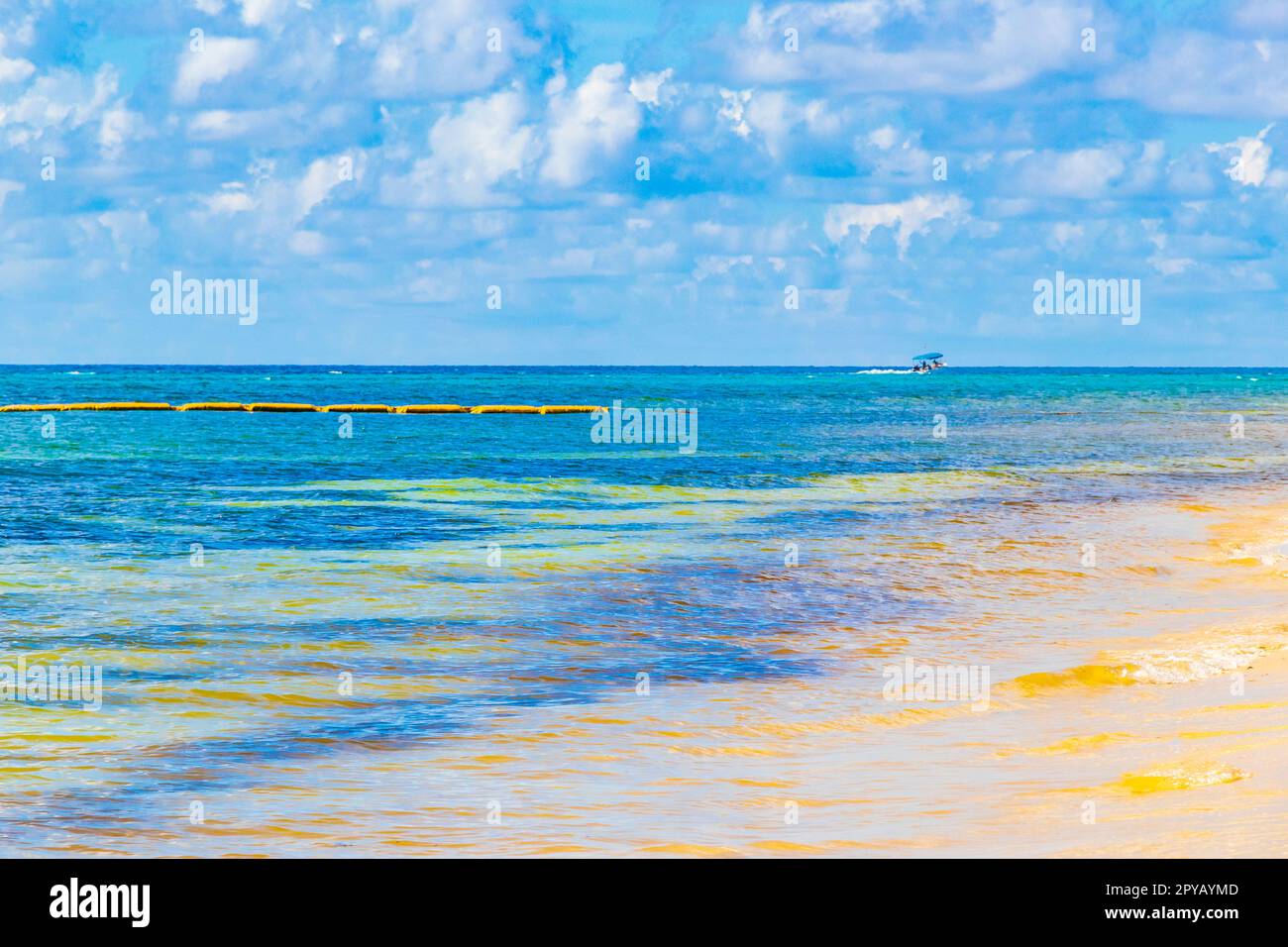 Boats in harbor cancun hi-res stock photography and images - Alamy