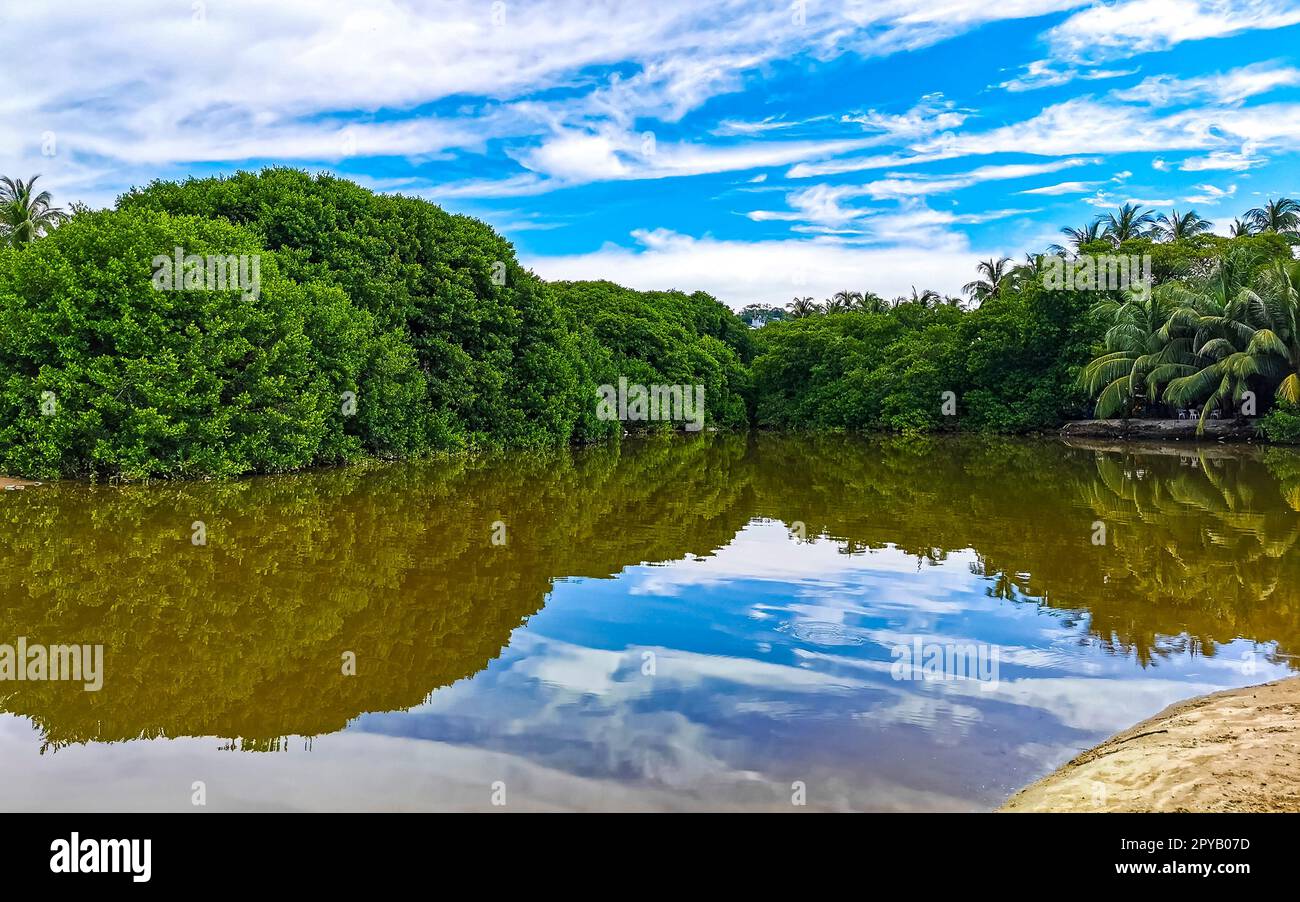 Green beautiful tropical river Freshwater Lagoon in Puerto Escondido ...