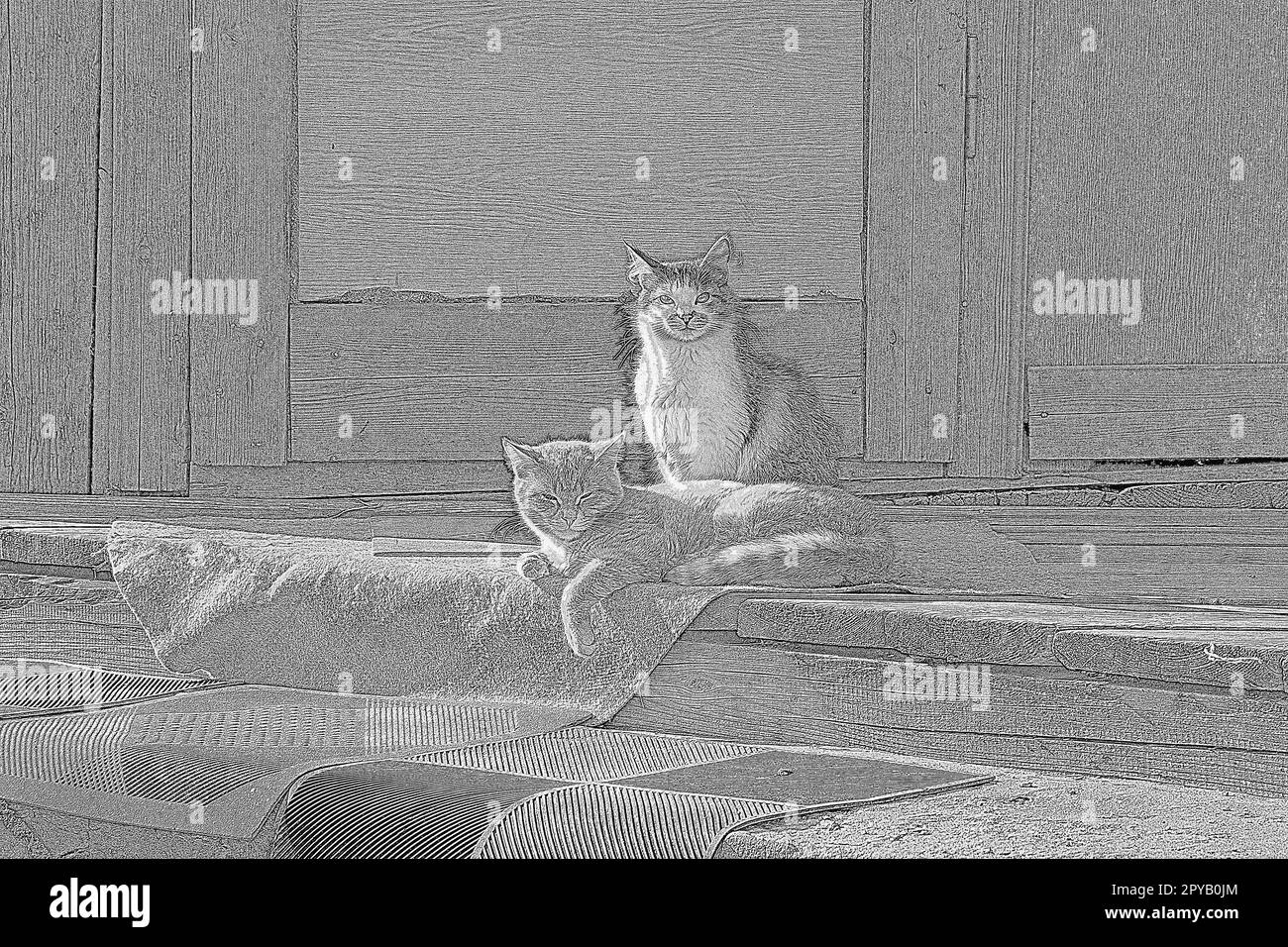 Two sleepy cats resting on doorstep engraving hand drawn sketch Stock ...