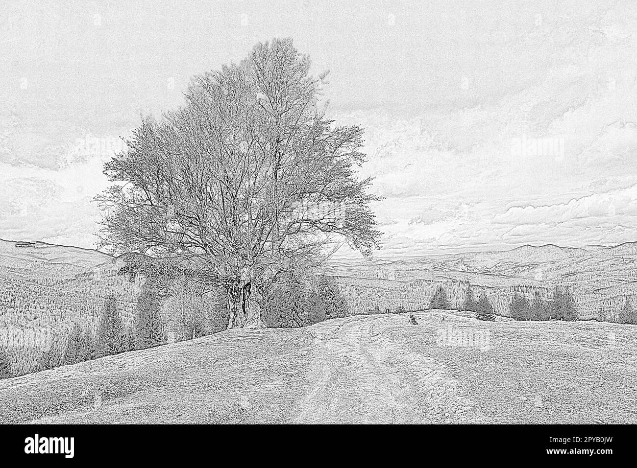 Muddy grass slope with overgrown tree engraving hand drawn sketch Stock ...