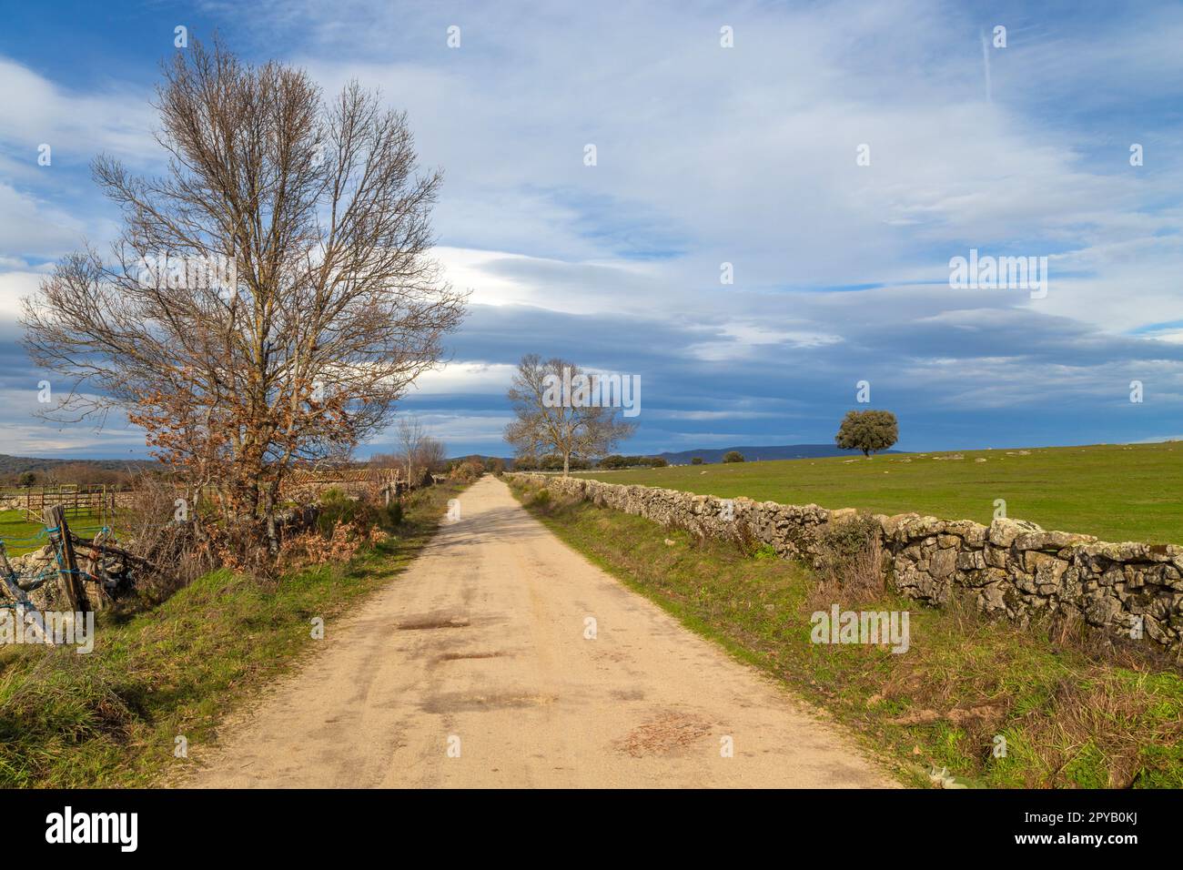 Via de la Plata way Stock Photo - Alamy