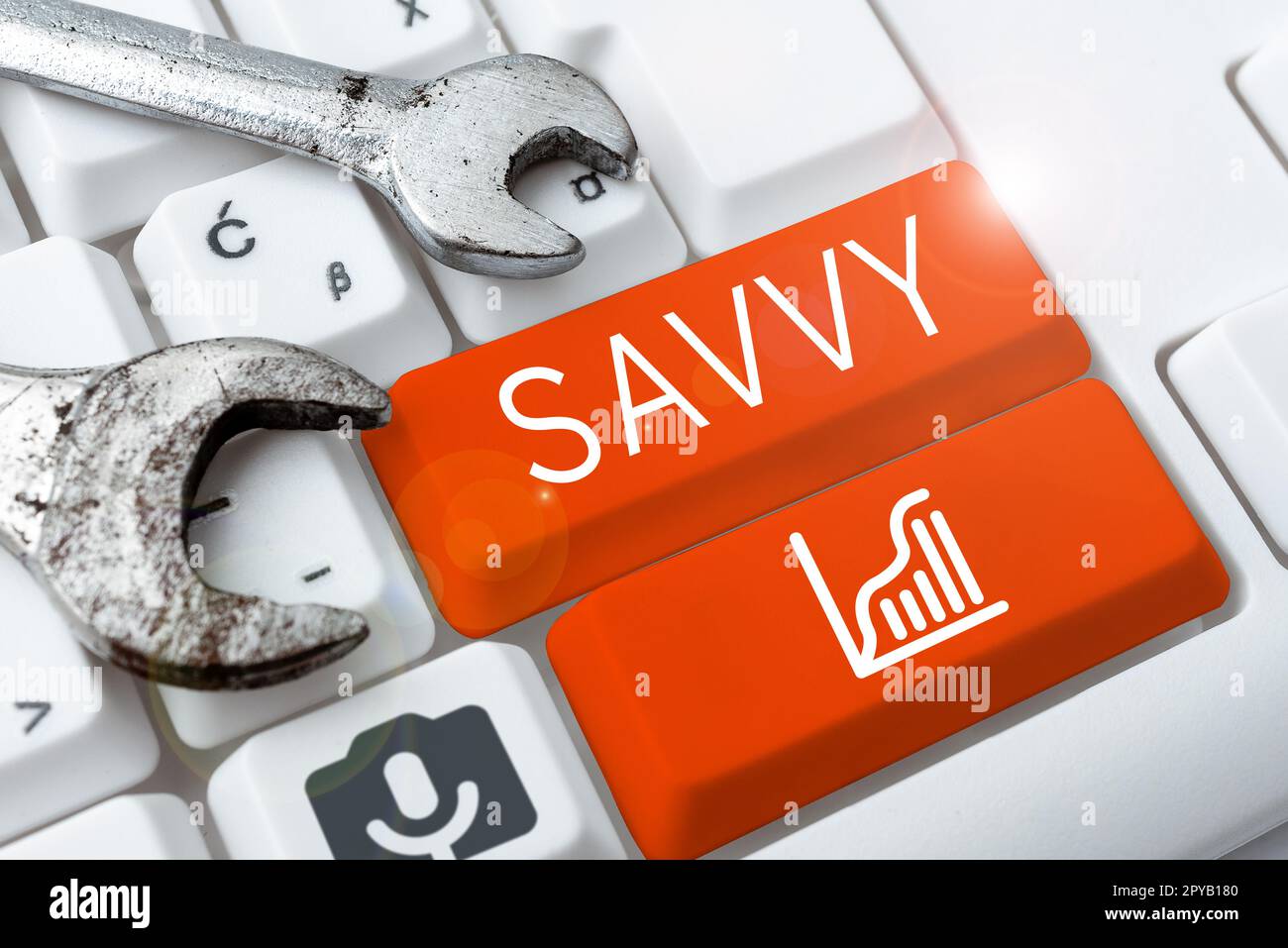 Conceptual display Savvy. Business concept having perception ... Conceptual display Savvy. Business concept having perception ...