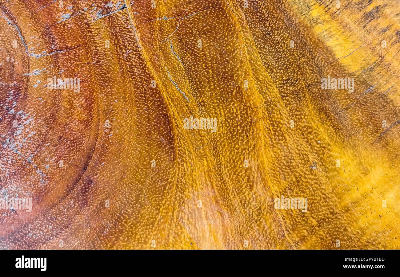 Old rough wood texture from a table Puerto Escondido Mexico Stock Photo ...