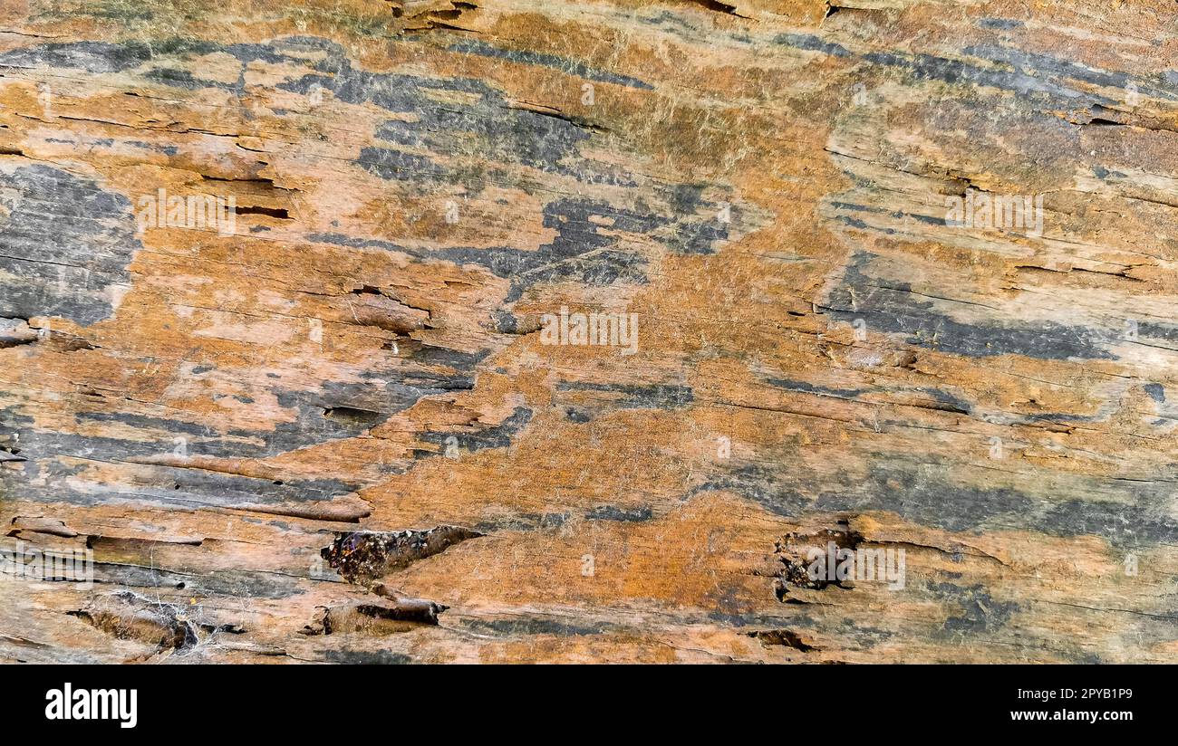 Old rough wood texture from a table Puerto Escondido Mexico Stock Photo ...